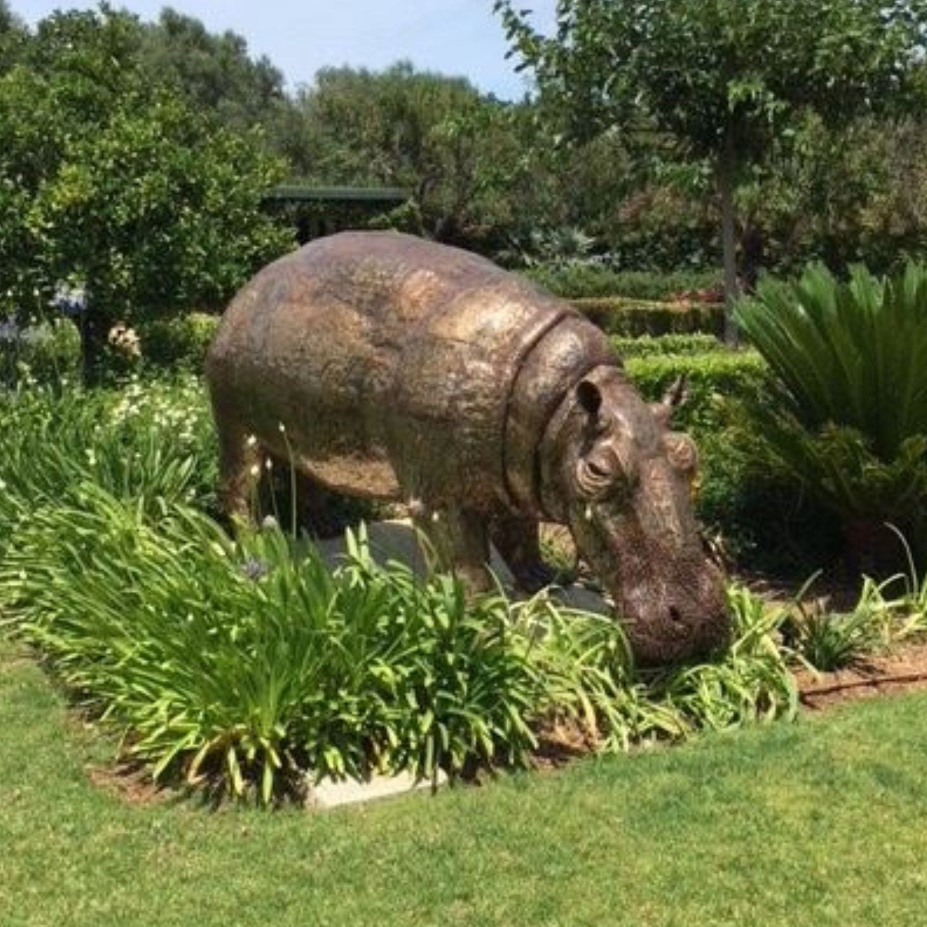Life Size Natural Hippo Metal Sculpture