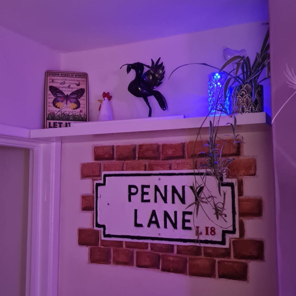 Medium Liver Bird - BOGOF