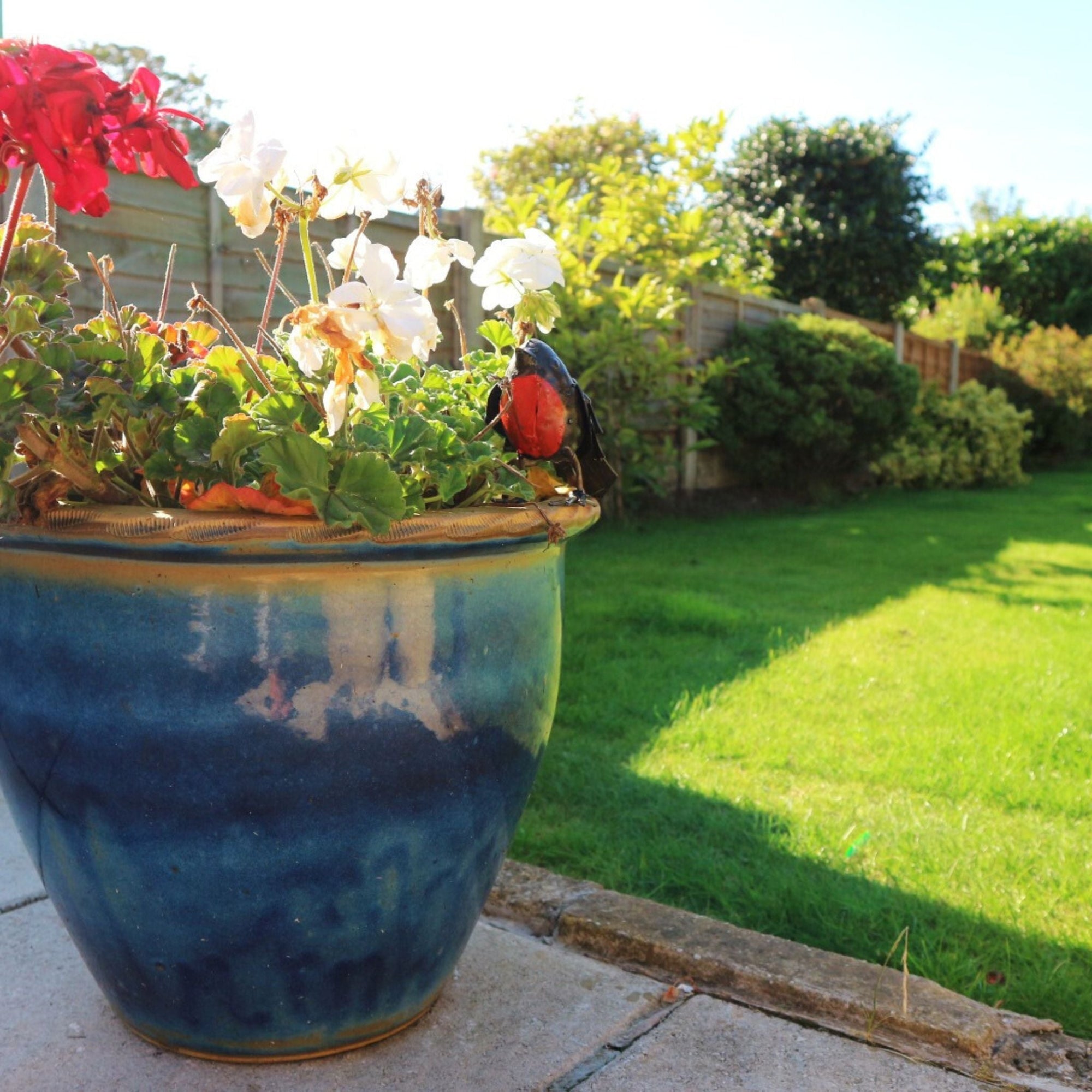 Painted Robin Metal Sculpture